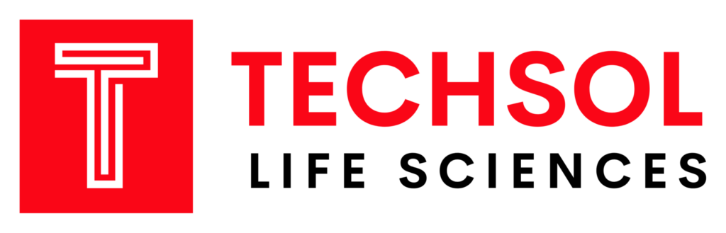 Techsol's New Business Outlook Navigating To Excellence